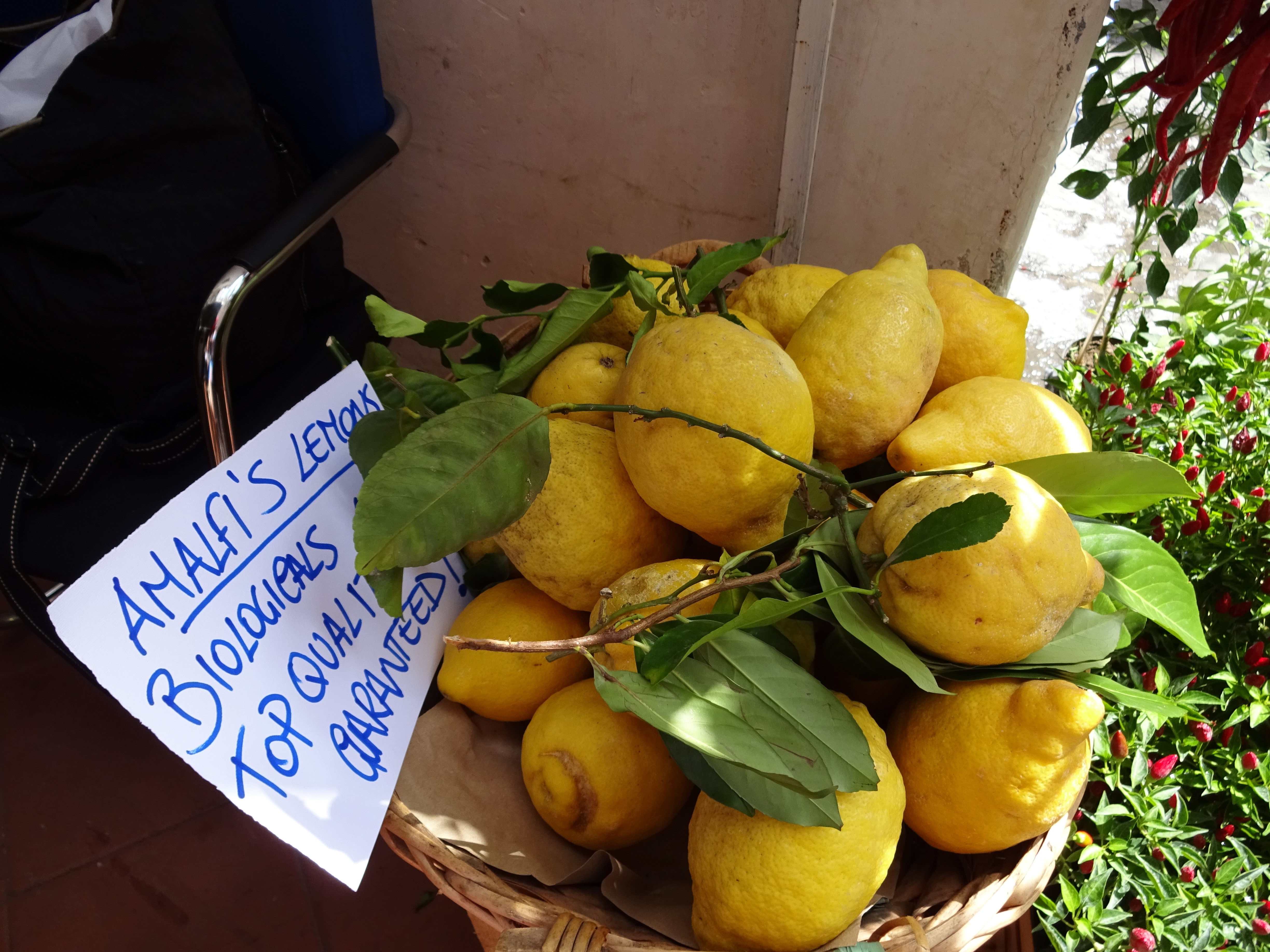 Amalfi Lemons – Radiant Health